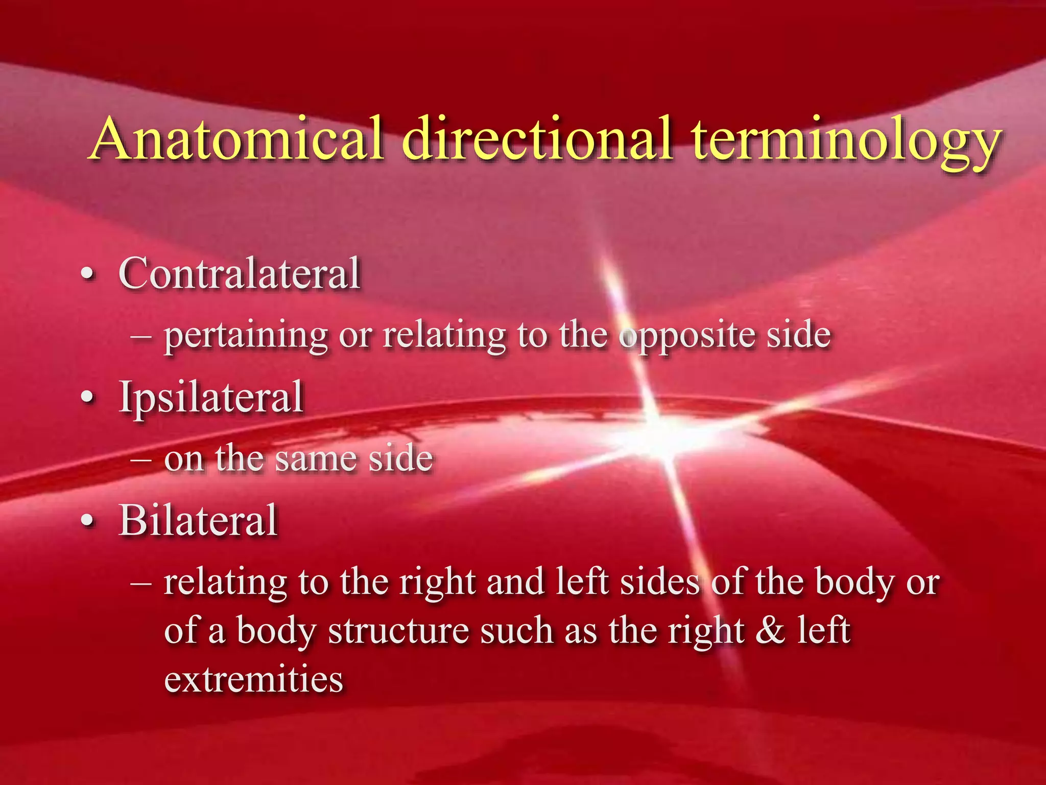 Anatomy introduction | PPT