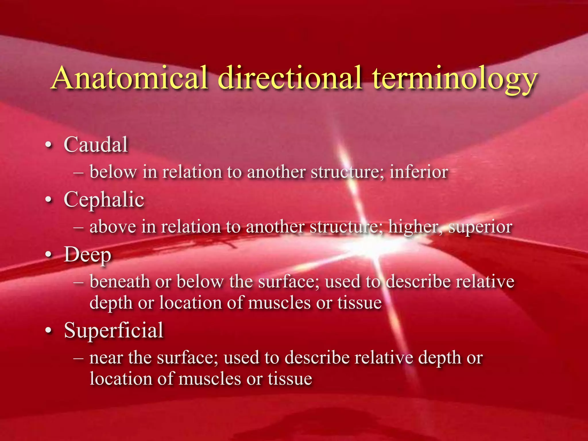 Anatomy introduction | PPT