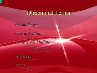 Anatomy introduction | PPT