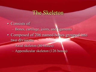 Anatomy introduction | PPTX