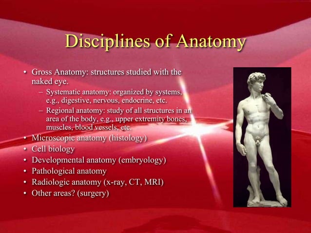 Anatomy introduction | PPT