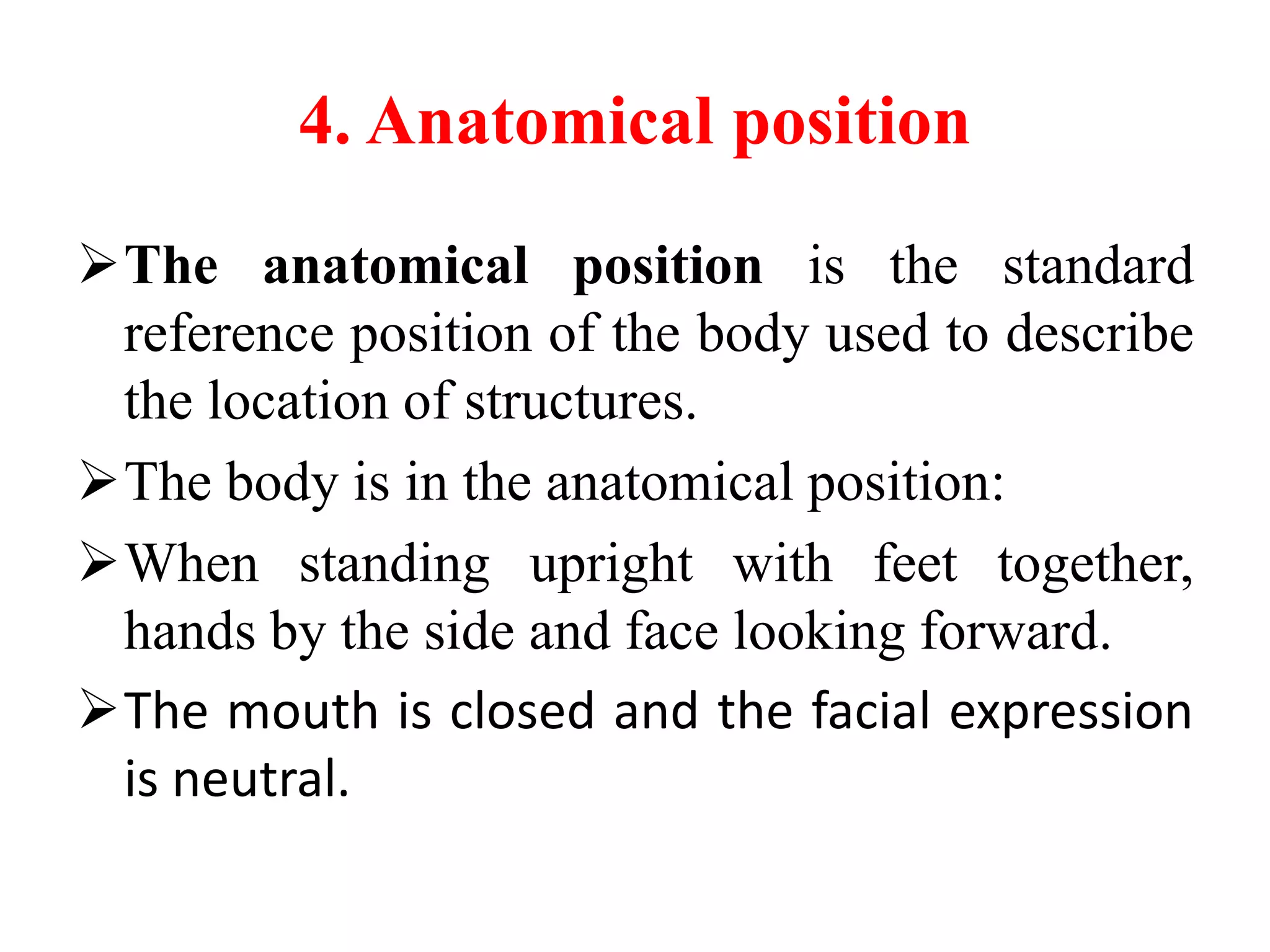 anatomy introduction.pptx