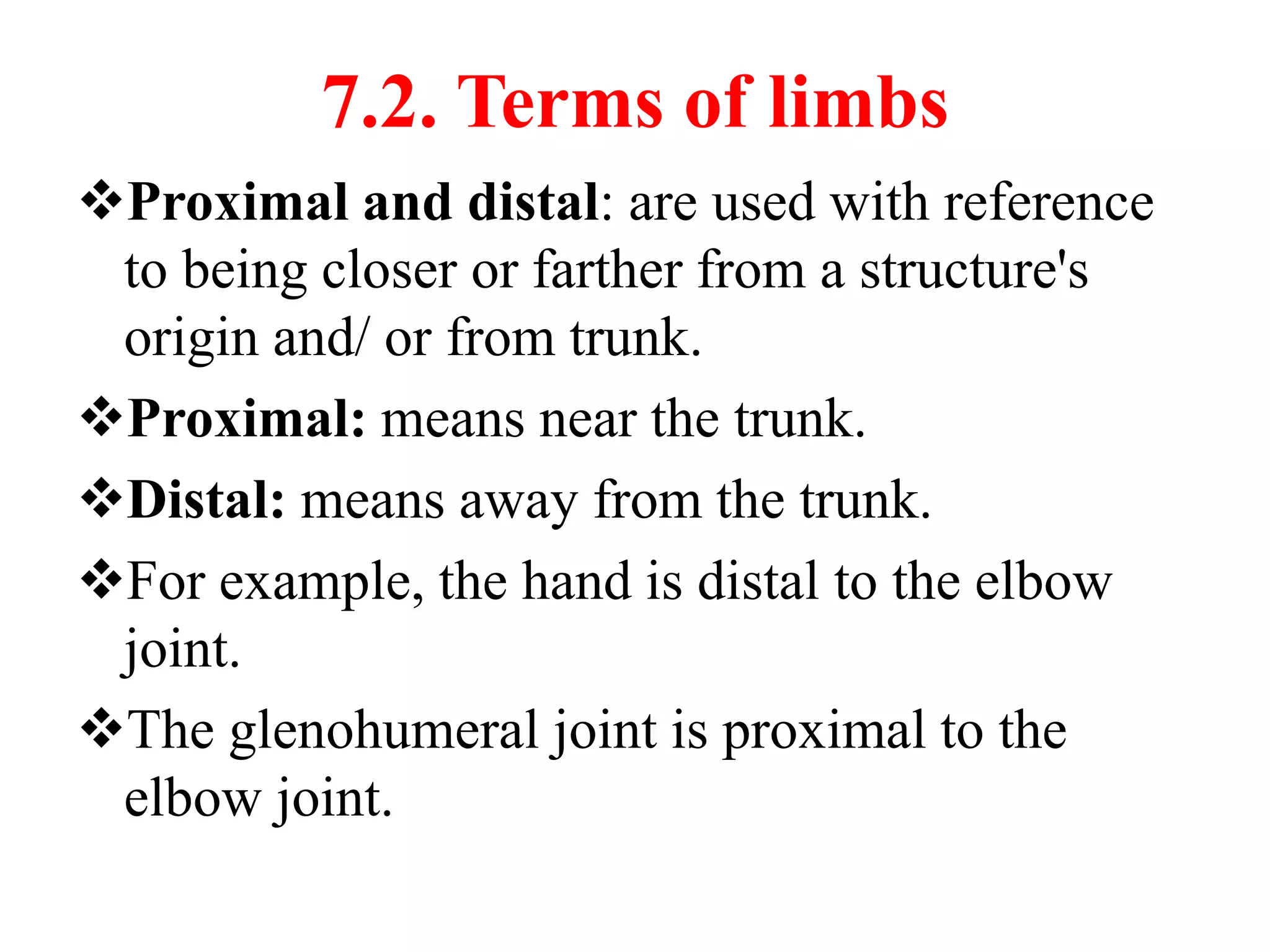 anatomy introduction.pptx