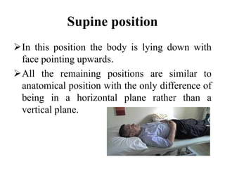 anatomy introduction.pptx