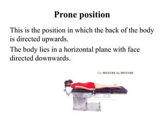 anatomy introduction.pptx