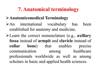 anatomy introduction.pptx