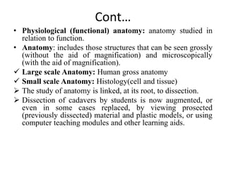 anatomy introduction.pptx