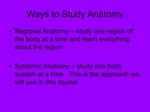 Anatomy Introduction.ppt