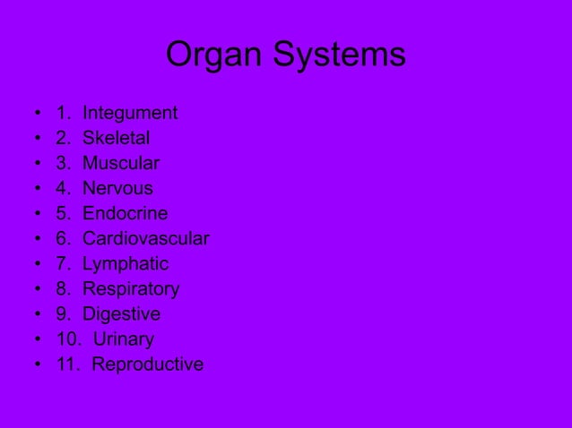 Anatomy Introduction.ppt