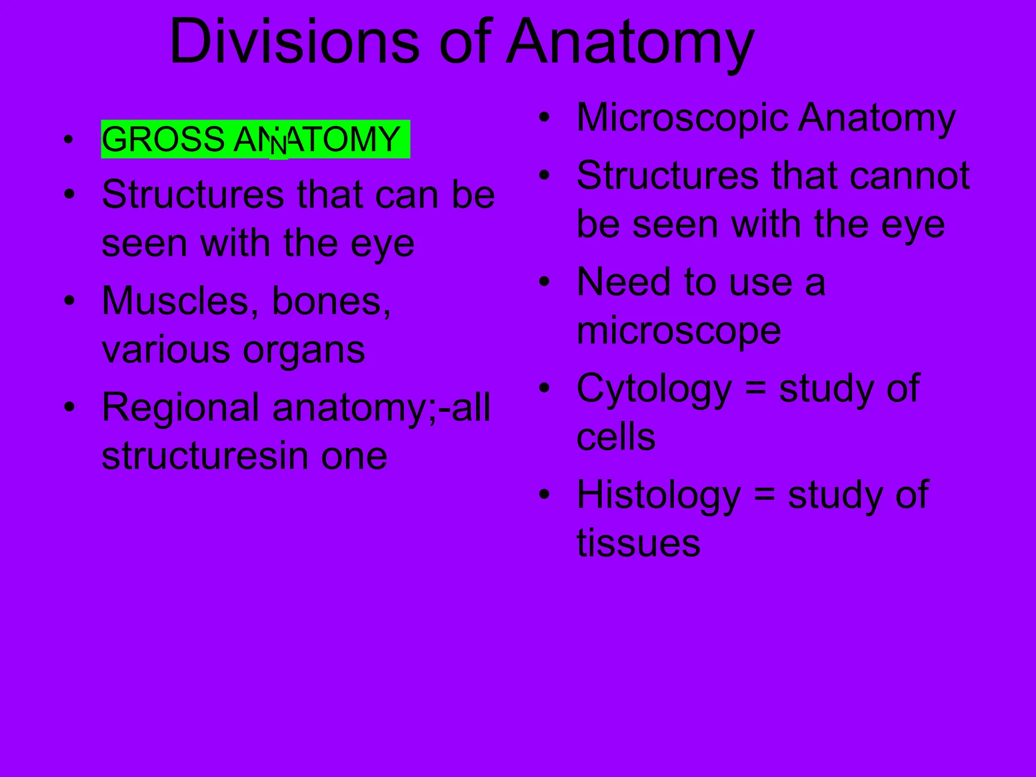Anatomy Introduction.ppt