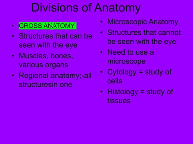 Anatomy Introduction.ppt