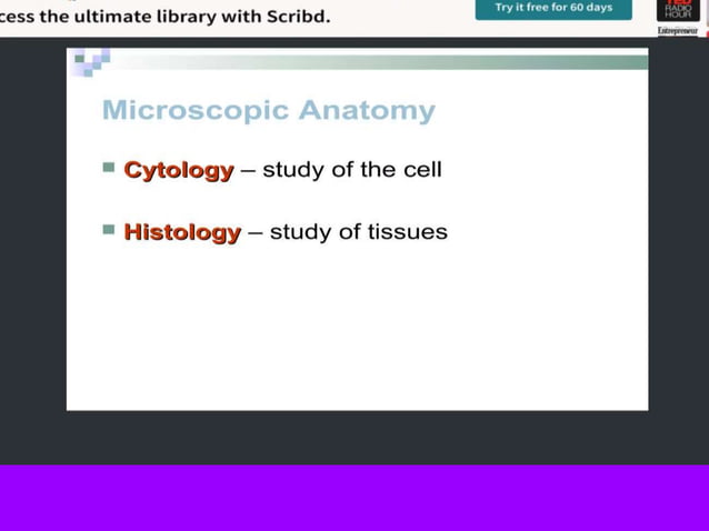 Anatomy Introduction.ppt