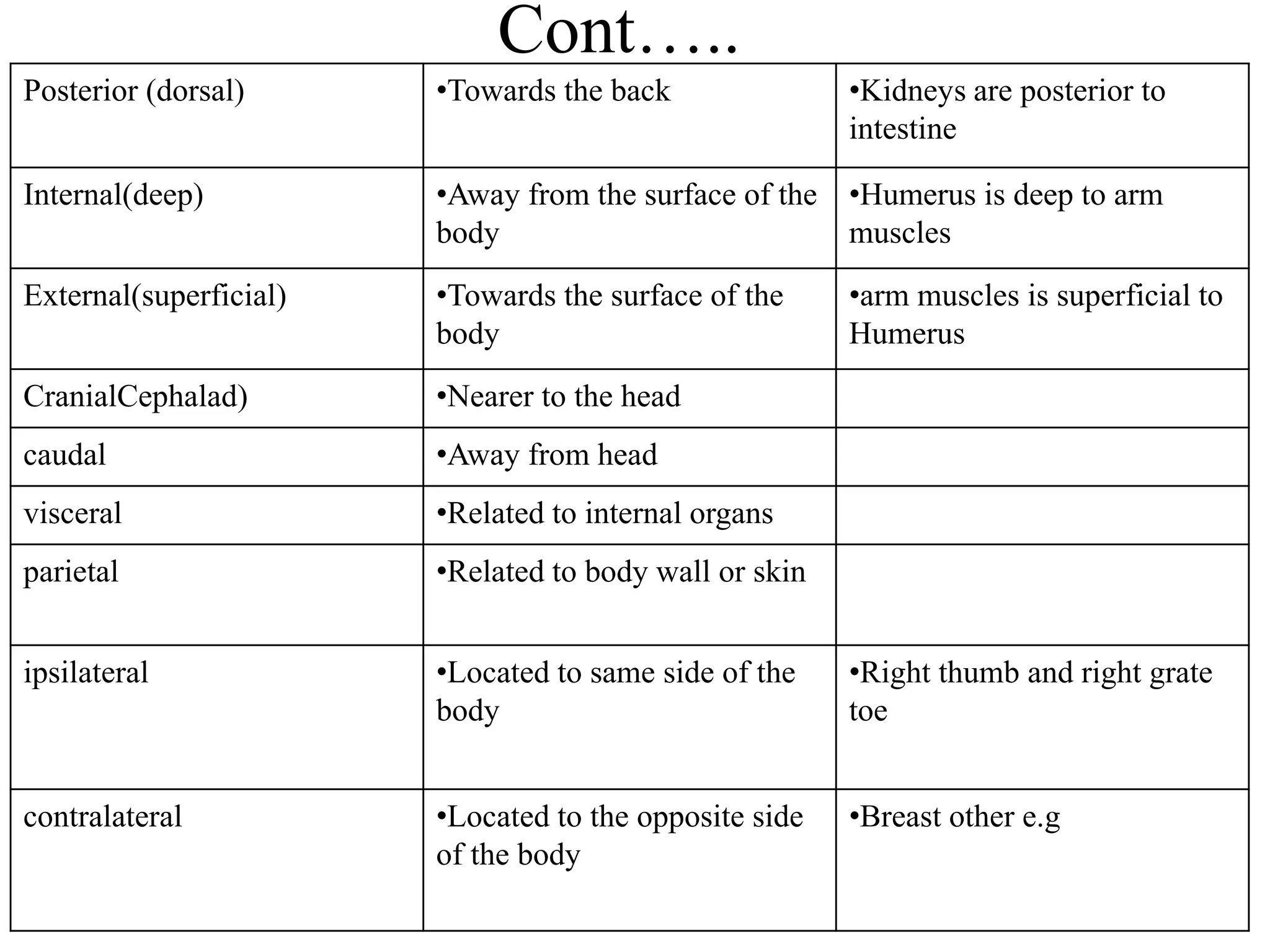 Anatomy introduction.pptx