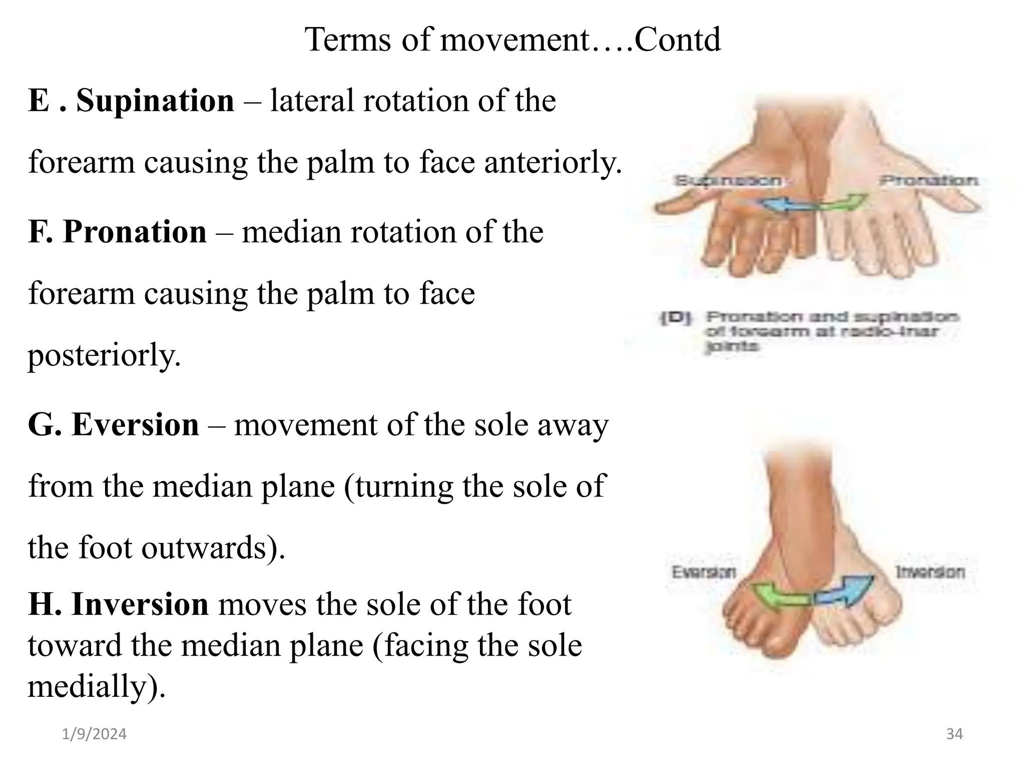Anatomy introduction.pptx