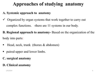 Anatomy introduction.pptx