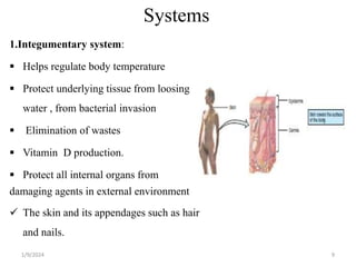 Anatomy introduction.pptx