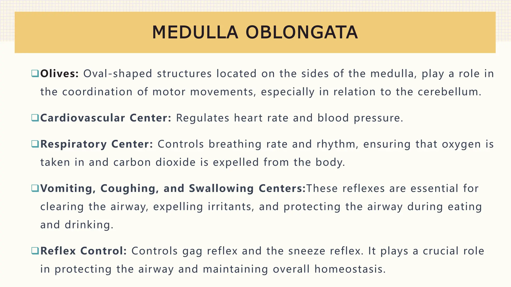 Anatomy of the brainstem.pptx/ cerebrum, pons and medulla oblongata ...