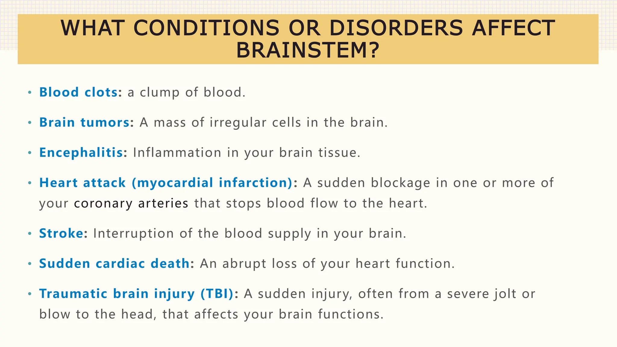 Anatomy of the brainstem.pptx/ cerebrum, pons and medulla oblongata ...