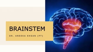 Anatomy of the brainstem.pptx/ cerebrum, pons and medulla oblongata parts and detailed ...