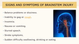 Anatomy of the brainstem.pptx/ cerebrum, pons and medulla oblongata ...