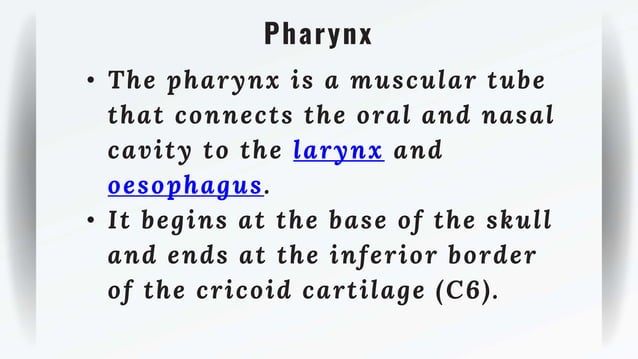 Anatomy pharynx .pptx