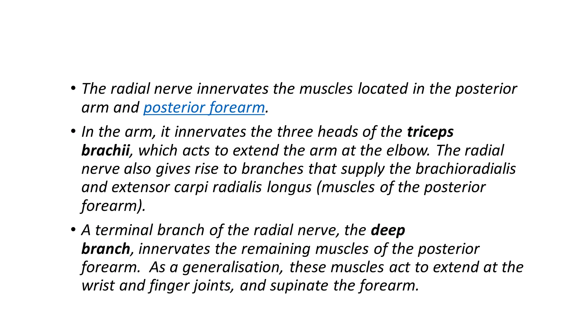 Anatomy of Radial nerve .pptx (I BHMS)) | PDF