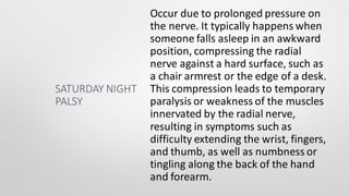 Anatomy of Radial nerve .pptx (I BHMS)) | PDF