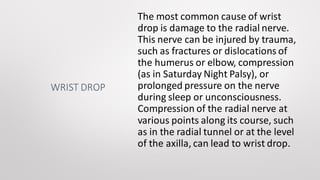 Anatomy of Radial nerve .pptx (I BHMS)) | PDF