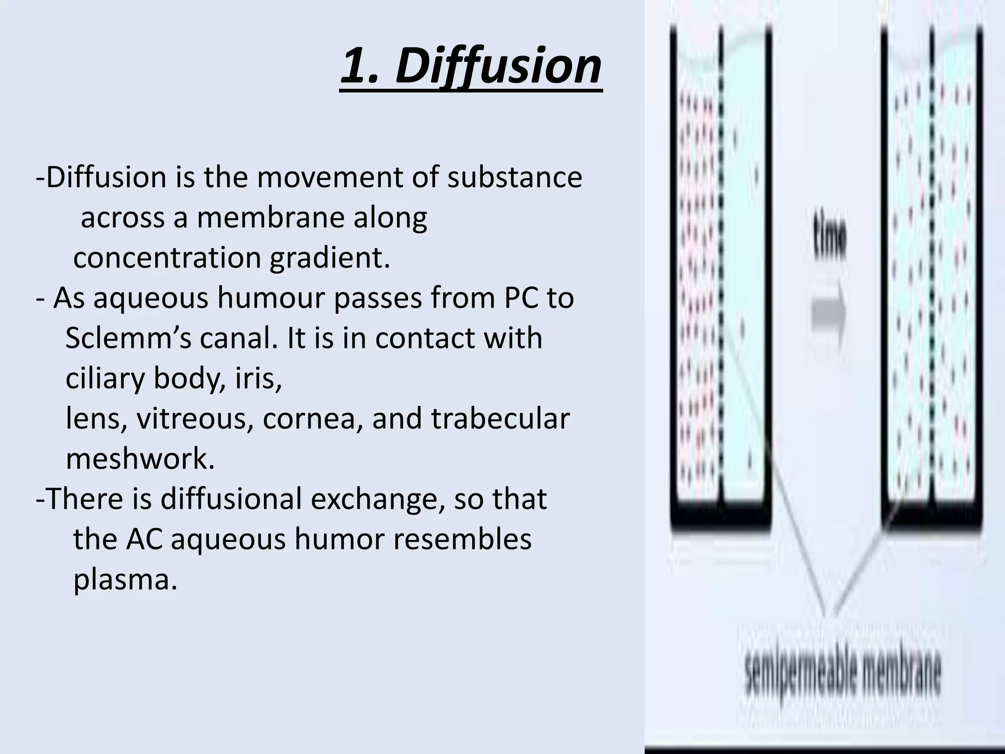 Aqueous humour | PPT