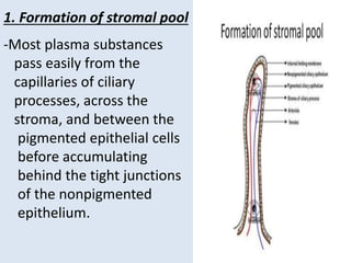Aqueous humour | PPT