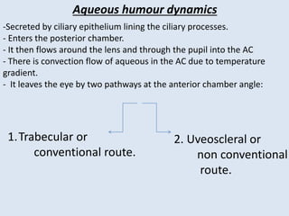 Aqueous humour | PPT