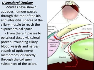 Aqueous humour | PPTX