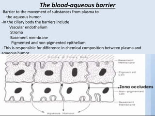 Aqueous humour | PPT