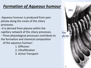 Aqueous humour | PPT