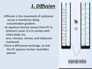Aqueous humour | PPT