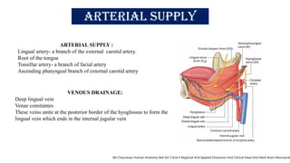 ANATOMY ^JNERVE SUPPLY AND APPLIED ASPECTS OF TONGUE.pptx