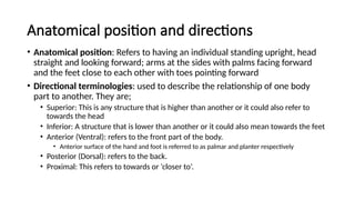 ANATOMY KMTC 1-1.pptx 2024 for KMTC nursing students | PPTX