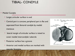 Anatomy and ligaments around Knee joint.pptx