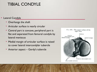 Anatomy and ligaments around Knee joint.pptx