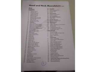 Anatomy lab | PPTX | Surgery | Medical Health