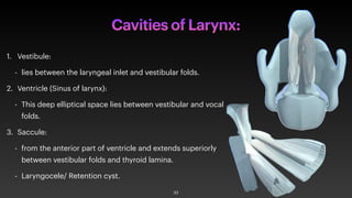Surgical Anatomy of Larynx - Cartilages, Muscles and Spaces | PDF