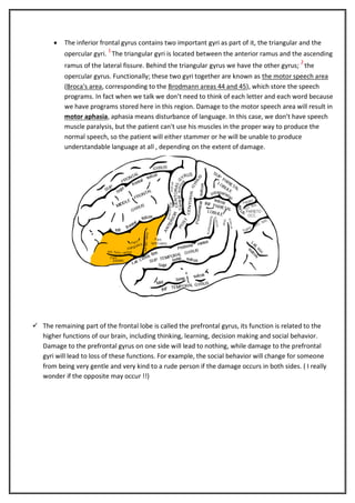Anatomy lec 2 | PDF | Brain and Nervous System Disorders | Diseases and ...