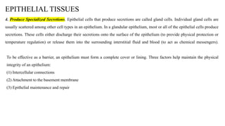 Anatomy (Lec 6) Epithelial tissue 2021-2022.pdf