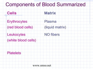 Anatomy lecture | PPT