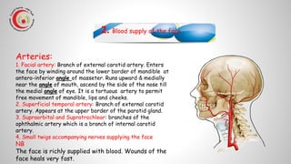anatomy, lecture 7, Face and facial muscles | PDF