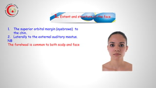 anatomy, lecture 7, Face and facial muscles | PDF