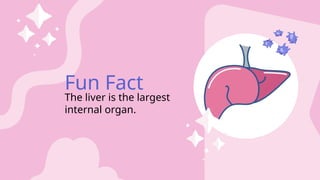 Anatomy Lesson for Elementary_ Human Organs Pink and Blue Cute ...