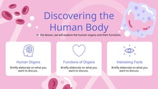 Anatomy Lesson for Elementary_ Human Organs Pink and Blue Cute ...