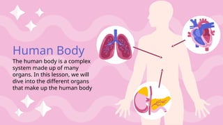 Anatomy Lesson for Elementary_ Human Organs Pink and Blue Cute ...
