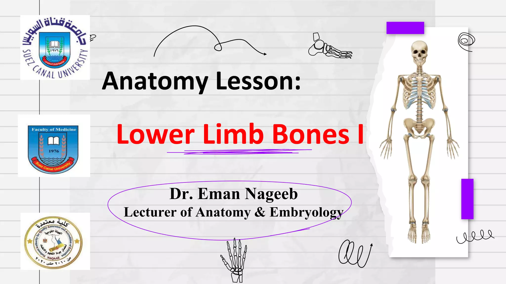 Anatomy Lesson_ LL1-2202-23.pdf